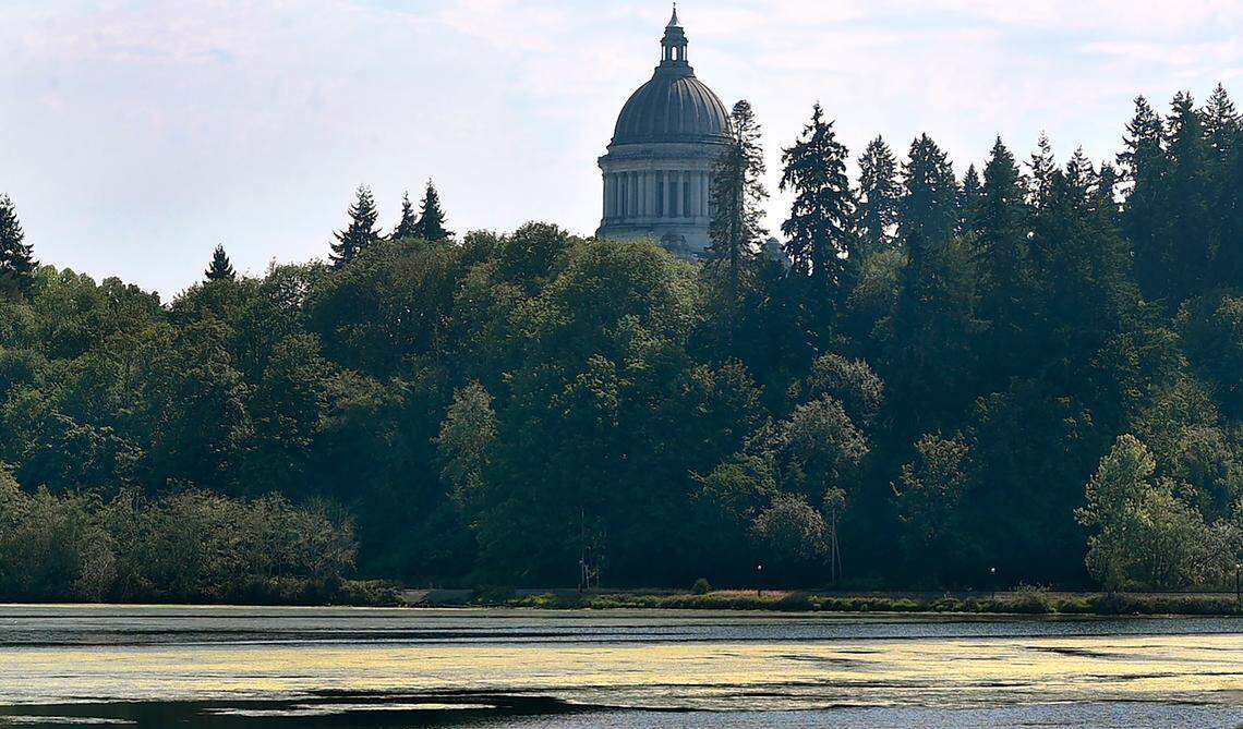 Department of Ecology takes the lead on Capitol Lake estuary ...