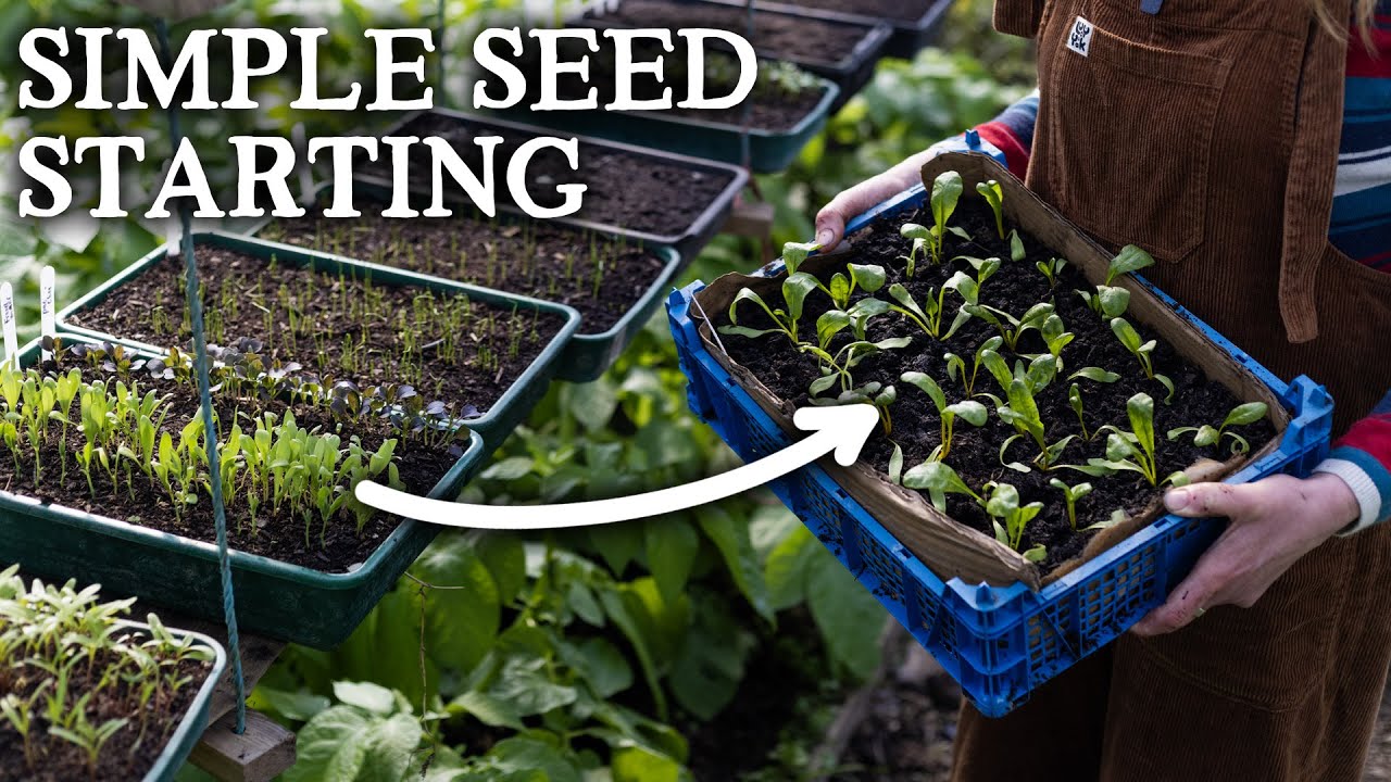 This alternative seed starting method works wonders