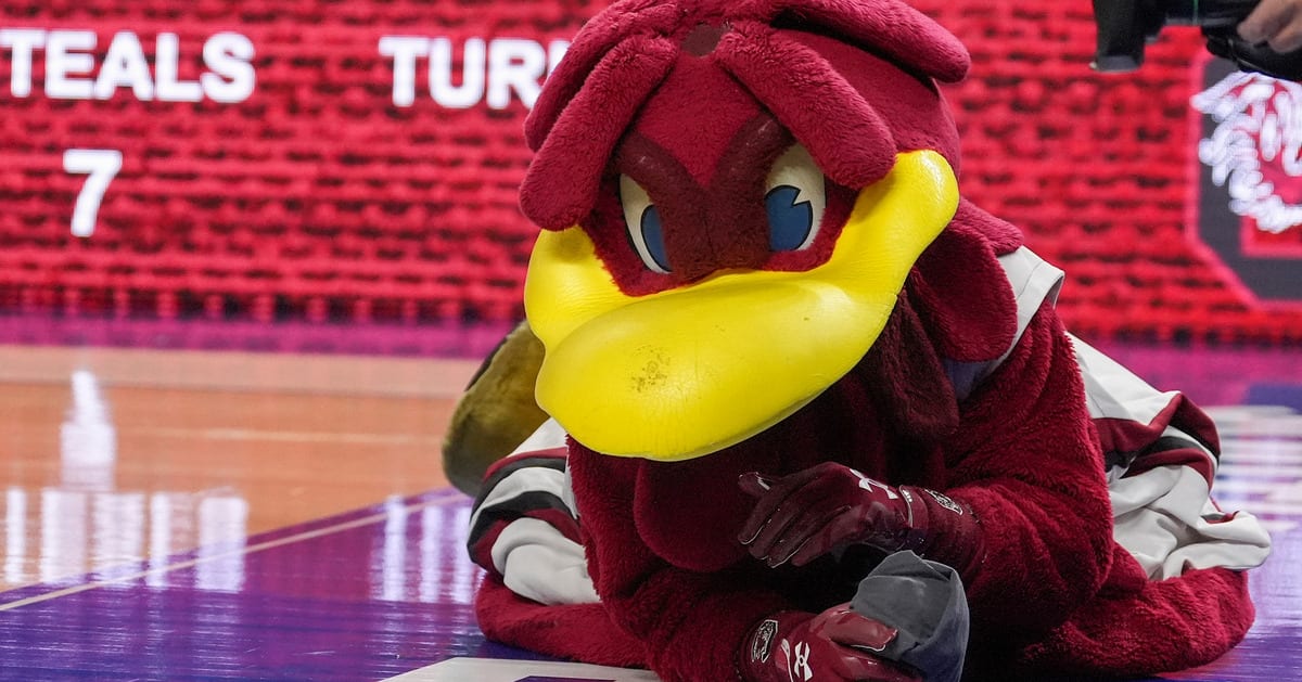 South Carolina women’s basketball: Australian forward names the ...