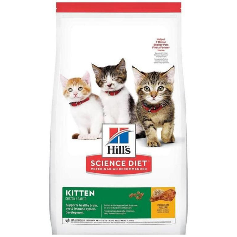 12 rekomendasi merek makanan penggemuk kucing kaya nutrisi