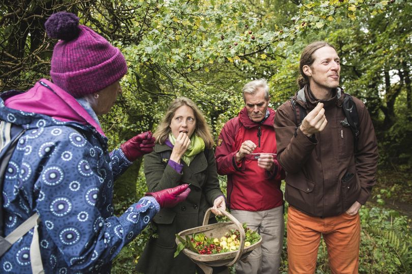 Forage and sip gin in style at wild Devon castle experience