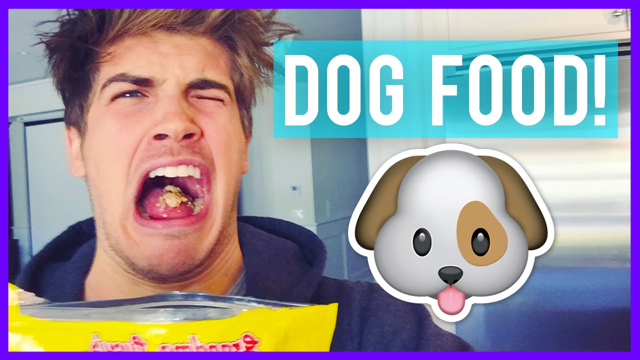 Owners Taste Dog Food for Fun