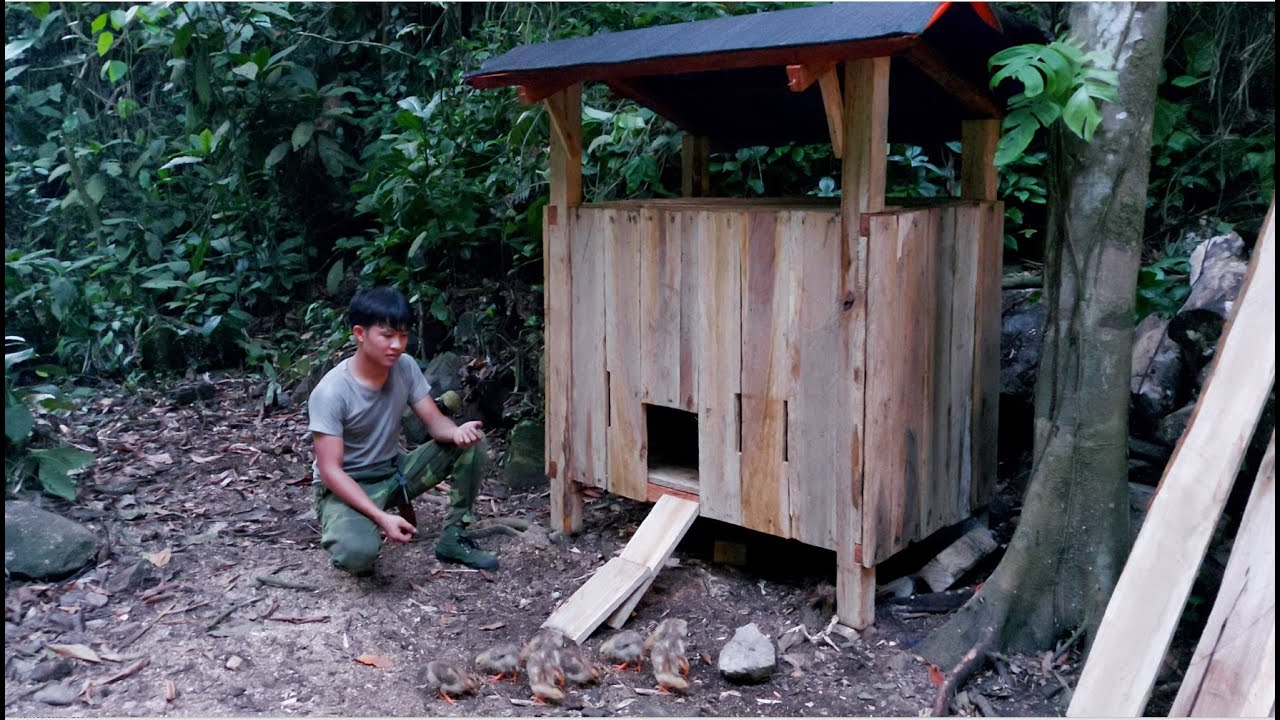 1 year off-grid living: Herbal remedies & chick cabin project