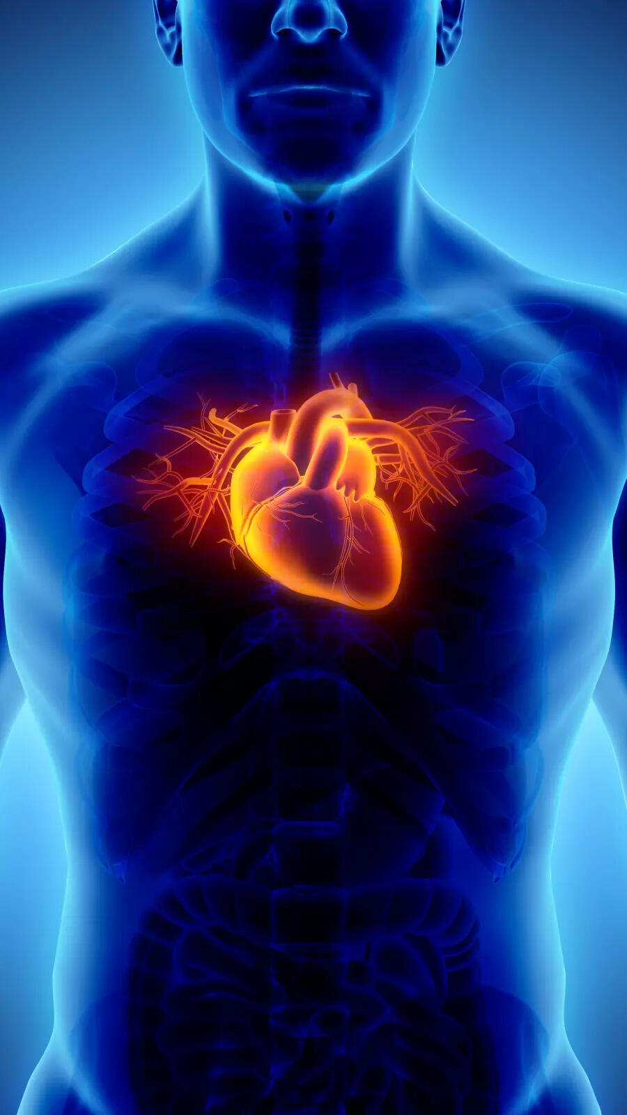 THIS humble fruit can boost heart health