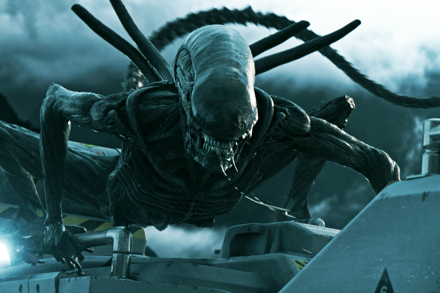 Ridley Scott shares promising updates on Gladiator 3 and his next Alien ...