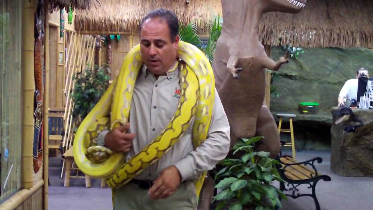 NARBC Anaheim reptile breeder's conference