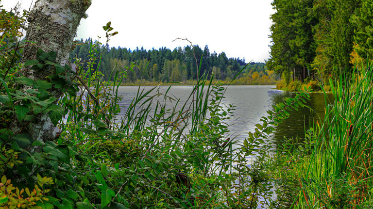 Situated On Deep Lake Is Washington's State Park Paradise For Canoeing ...