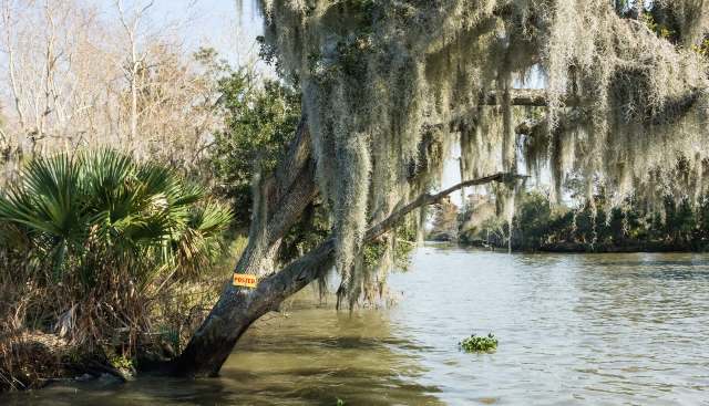 Energy giants hit with massive lawsuit after major oil spill devastates ...