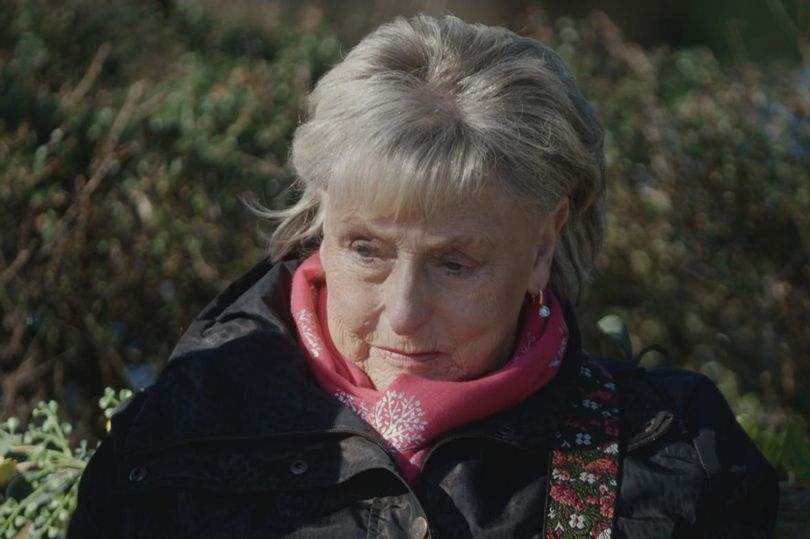 The real story of Ann Ming's campaign behind ITV's I Fought the Law