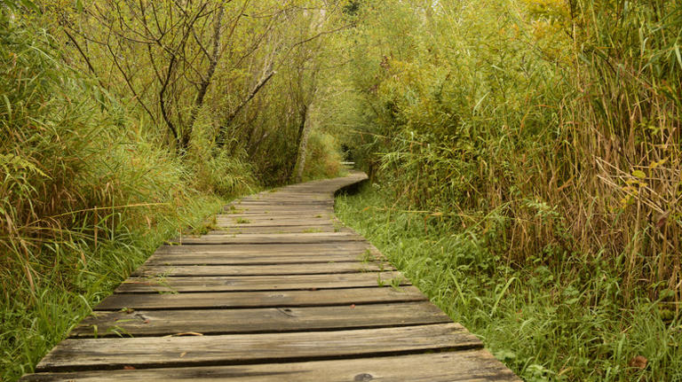 Situated On Deep Lake Is Washington's State Park Paradise For Canoeing ...