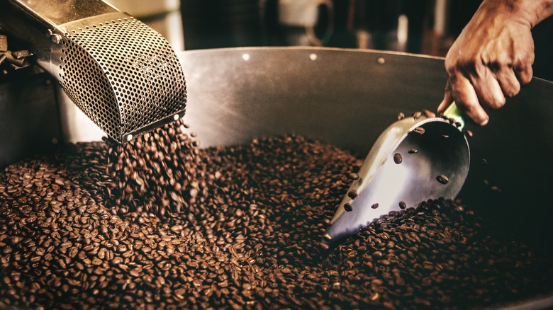 16 Types Of Coffee Roasts, Explained