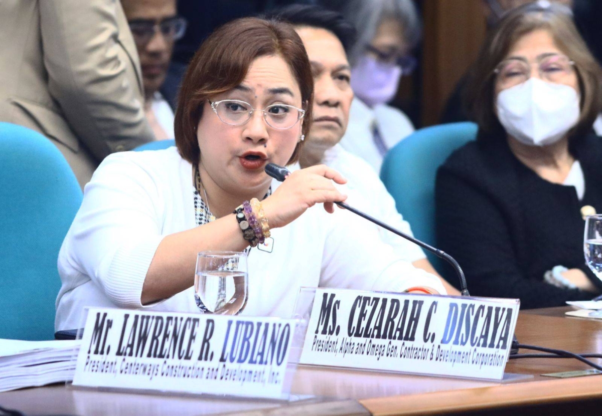 Discaya says her family owns nine companies