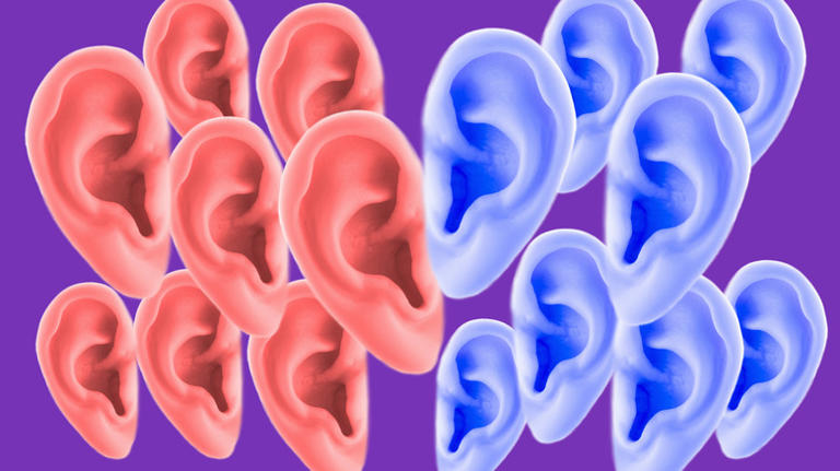 A 'Useless' Organ You Might Find On Your Ear Once Had A Unique Purpose