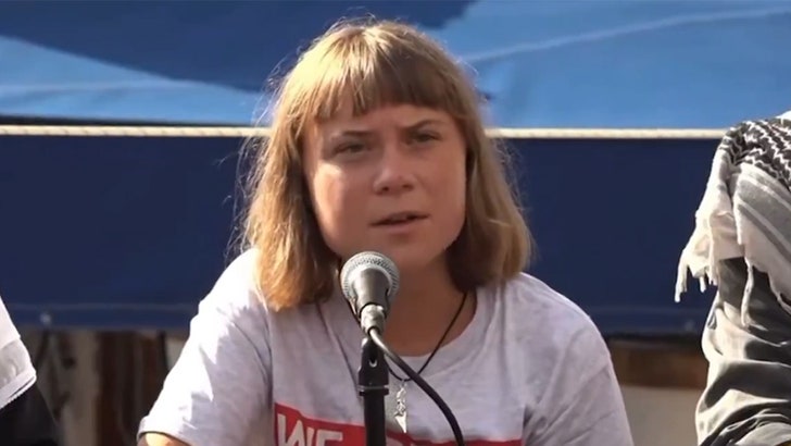 Meghan McCain Roasts Greta Thunberg's Hair, Says She Looks Like Lord ...