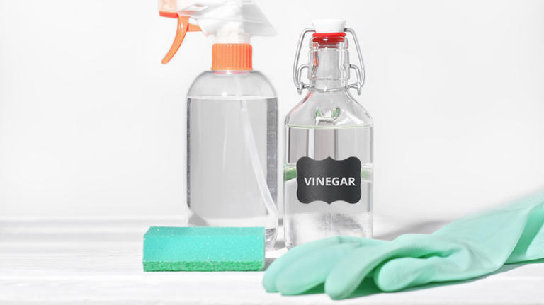 Vinegar Is A Gamechanger When Cleaning Your Bathroom Trash Can