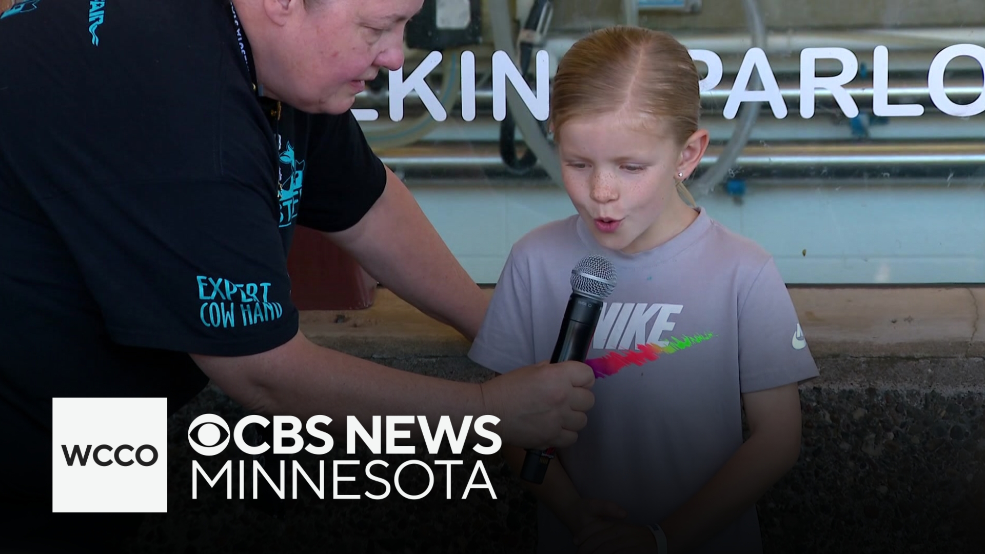 A look at the State Fair's "Great Minnesota Moo Off"