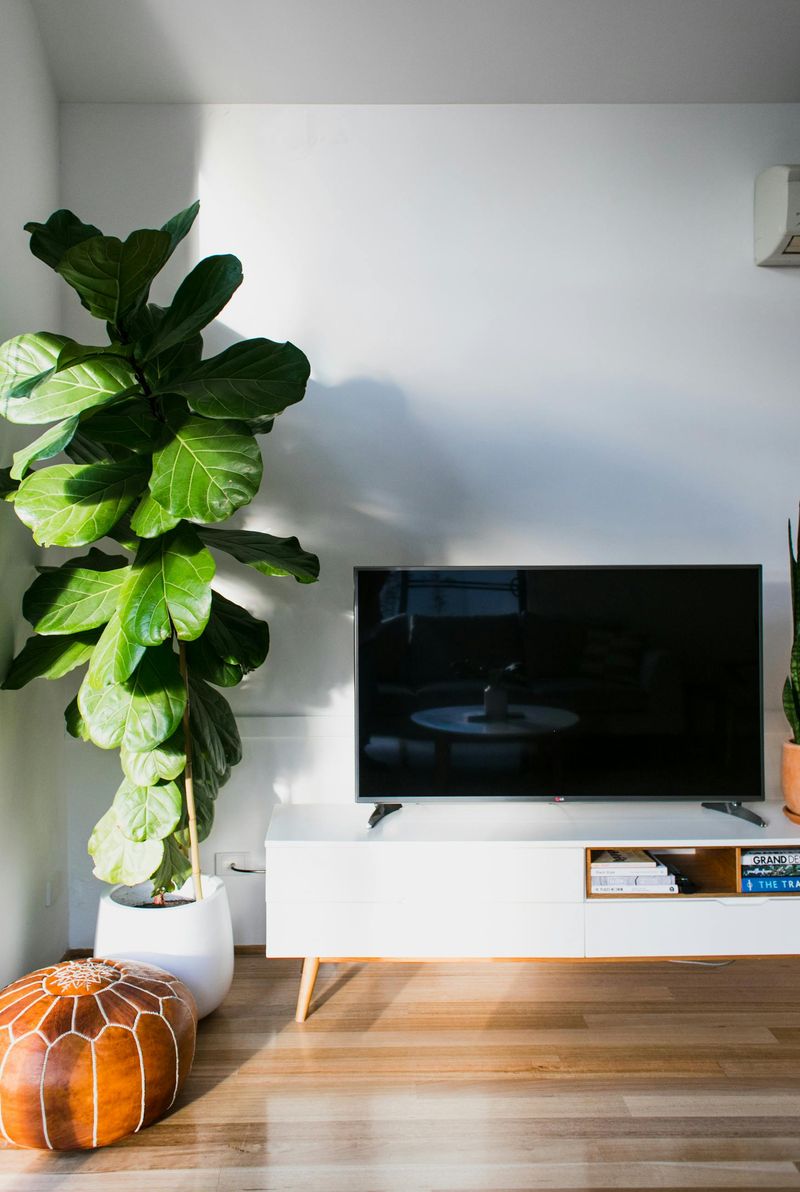 11 Corner Styling Ideas That Keep Spaces From Feeling Empty