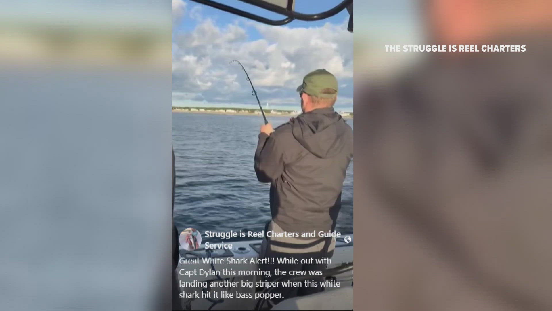 Charter boat allegedly spots great white shark
