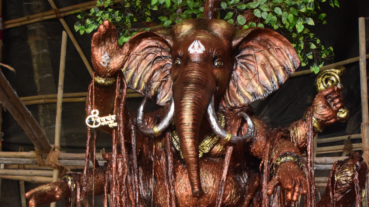 TOI Ganeshotsav series: Eco-friendly idols made with mud, roots and ...