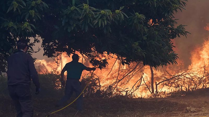 Unions warn of ‘woefully low’ firefighter numbers as EU faces record ...