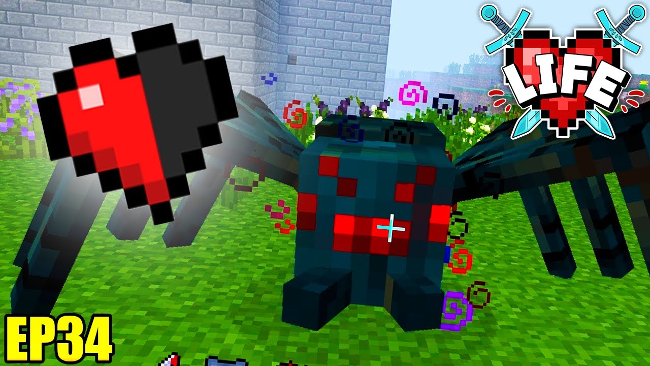 Minecraft X Life SMP Ep34 - HALF A HEART AHHHH