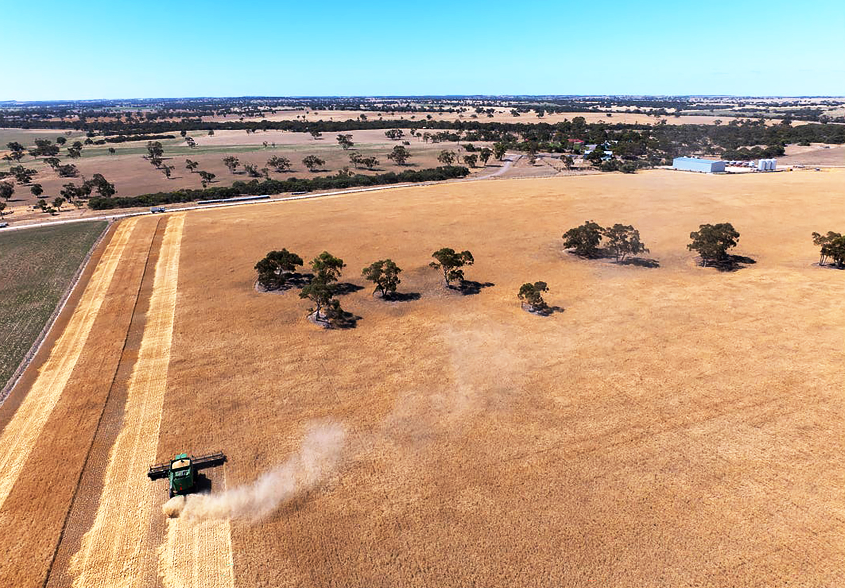 Well managed Keith farm has top pastures and irrigated lucerne.