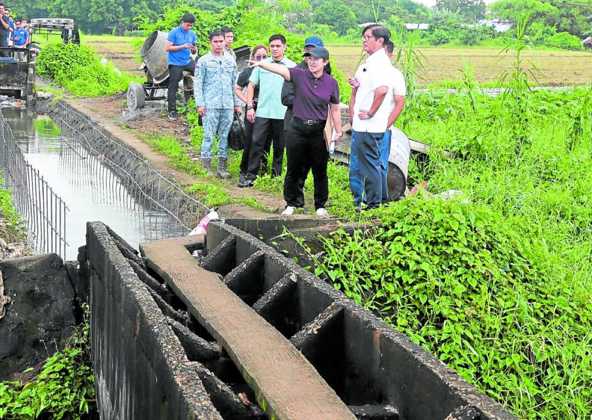 Senate panel subpoenas COA audit documents on flood control projects