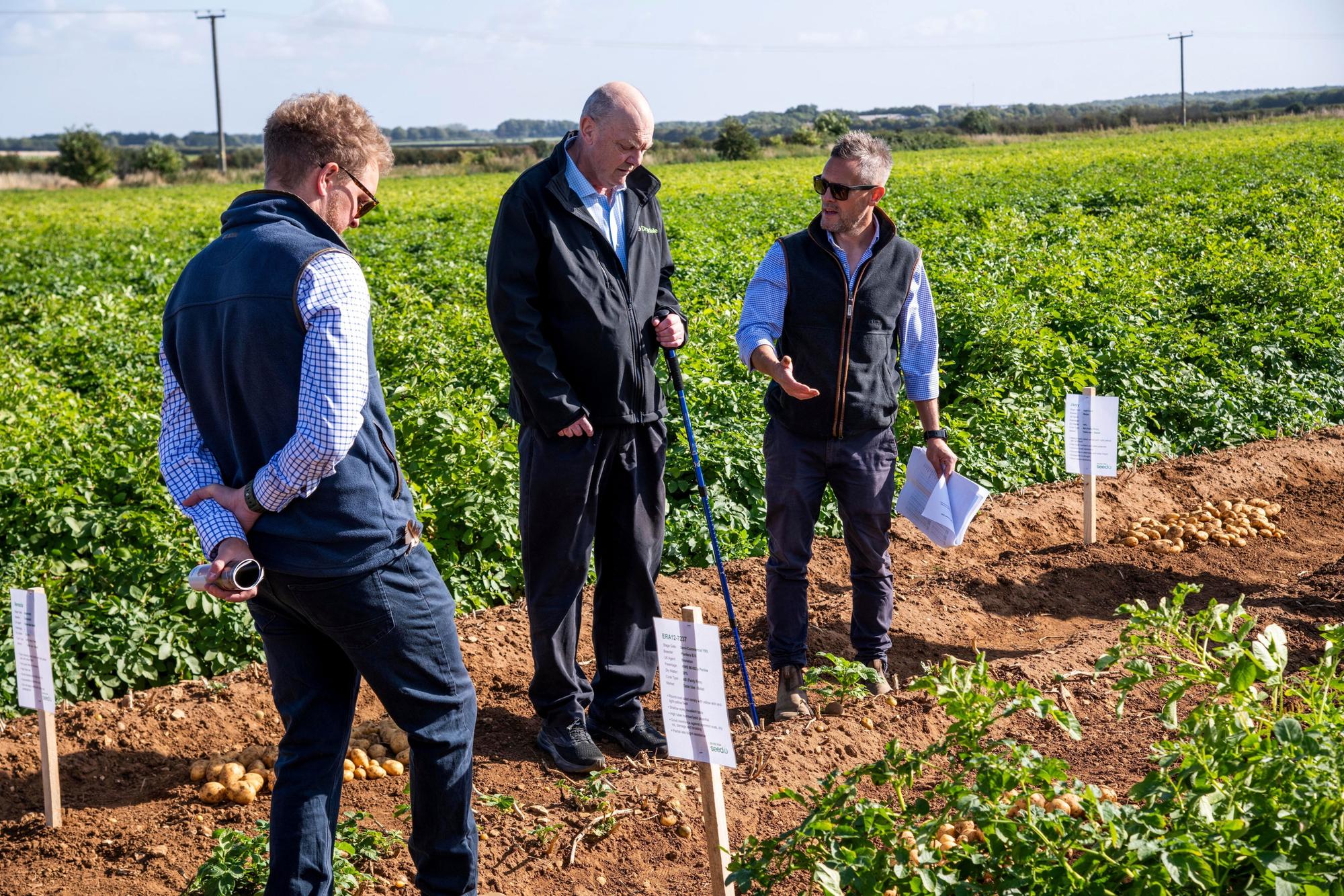 Potato growers gather to unearth the next generation of crops
