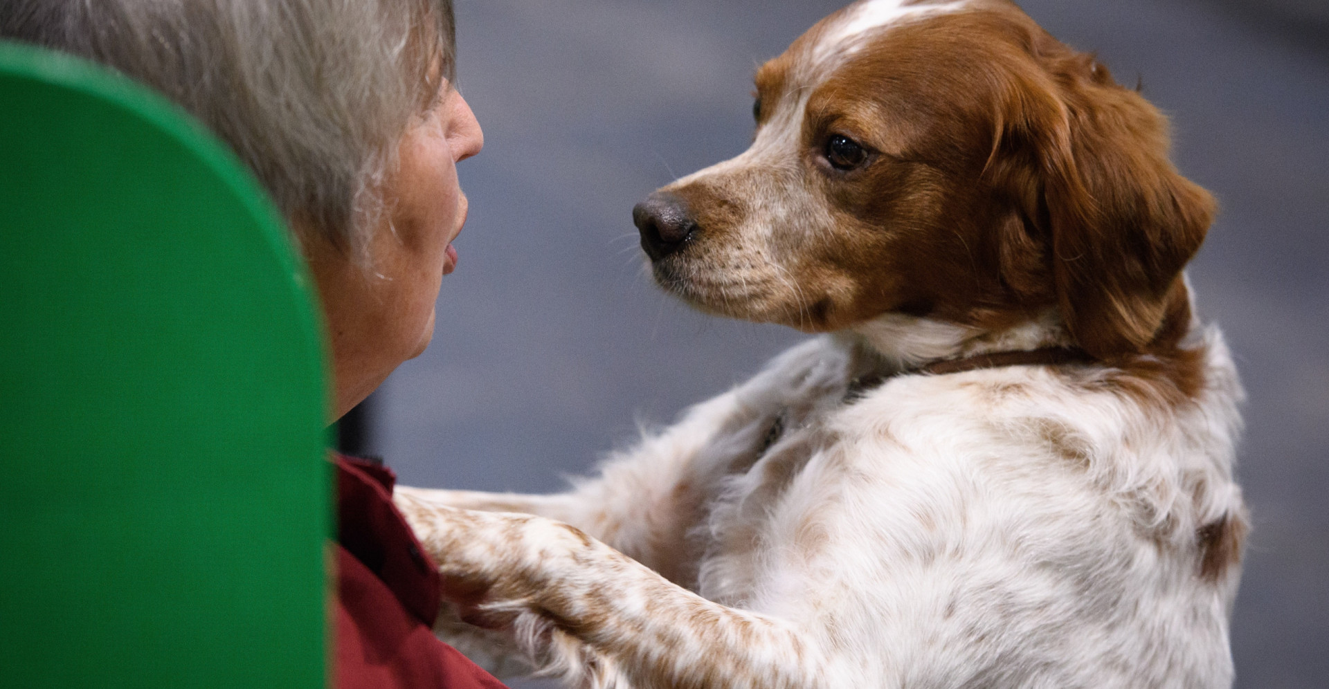 The secret ways dogs communicate with their owners