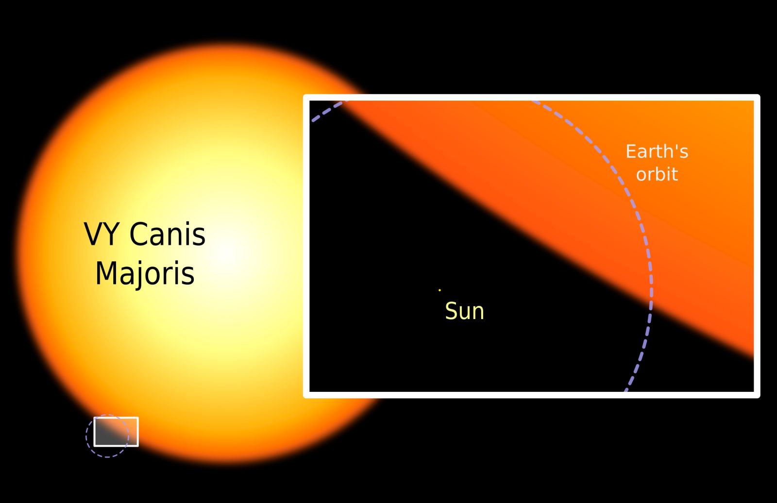 🌟 What is the largest star in the Universe?