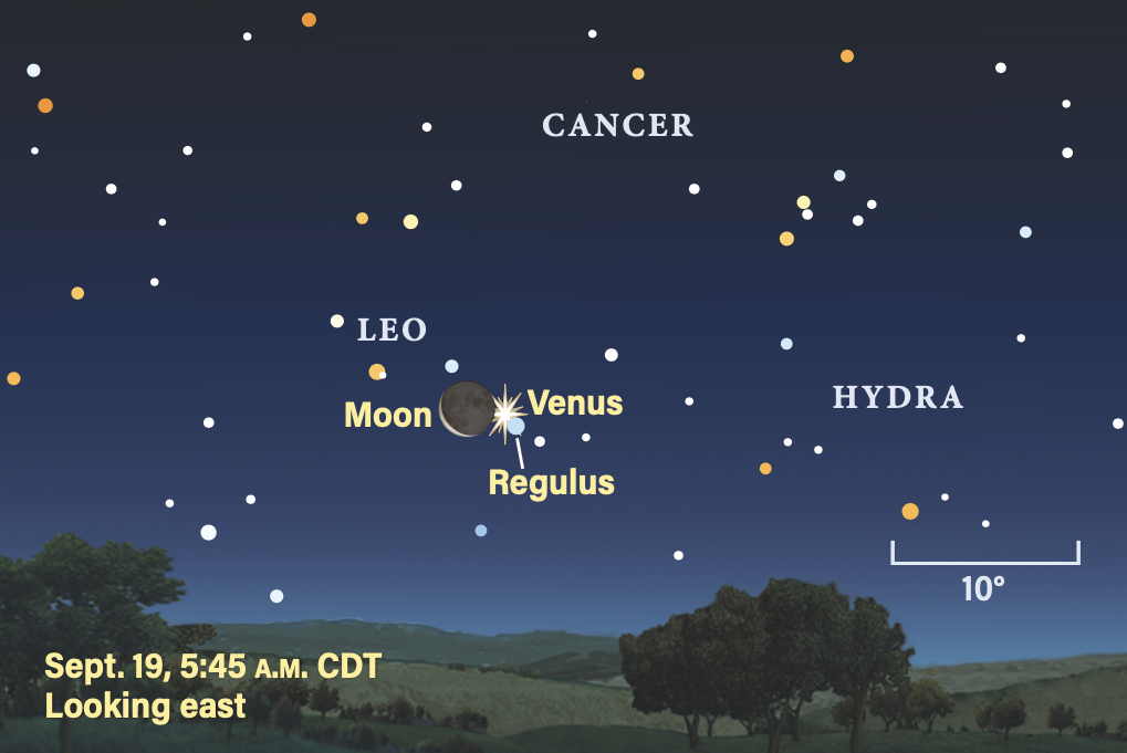 The Sky Today on Friday, September 19: Regulus, Venus, and the Moon line up