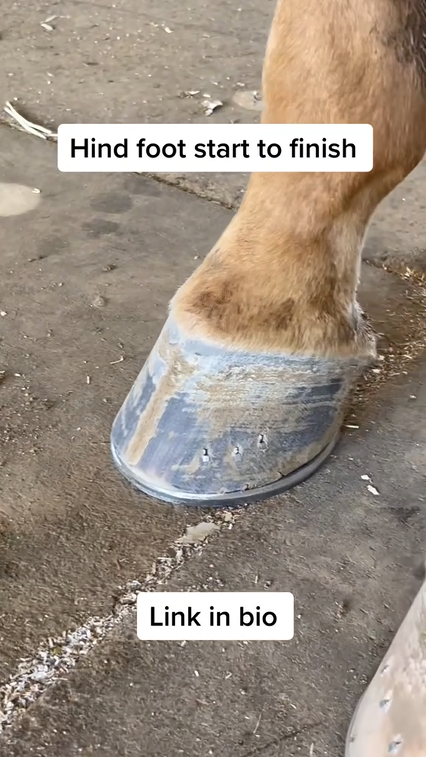 This Farrier's Technique Is as Satisfying as It Is Impressive