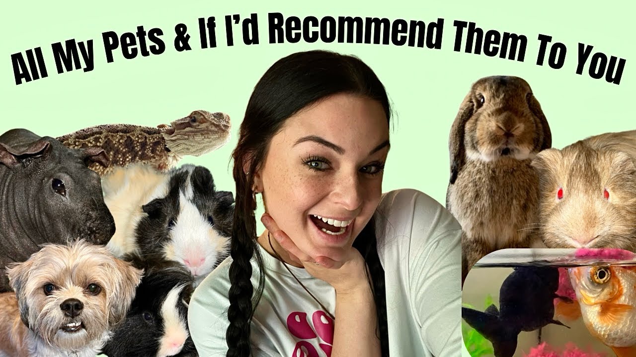All of My Pets and My Honest Opinions on Them!