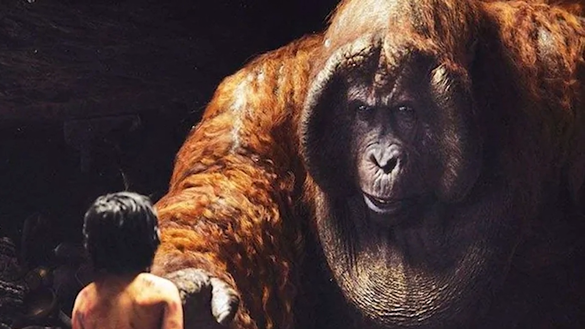 The Legendary Ancient Giants of North America