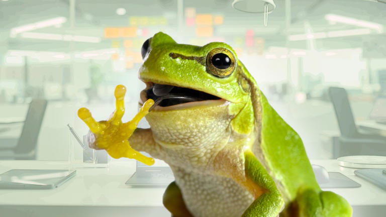 Why Gen Z are the office frogs