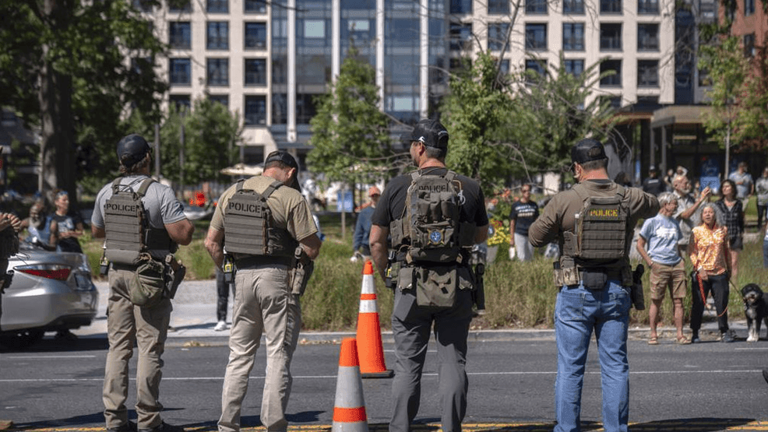 DC Council committee calls for mayor, interim chief to end police ...