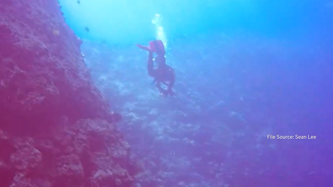 Taiwanese Divers Pronounced Dead After Retrieval From Okinawa ...