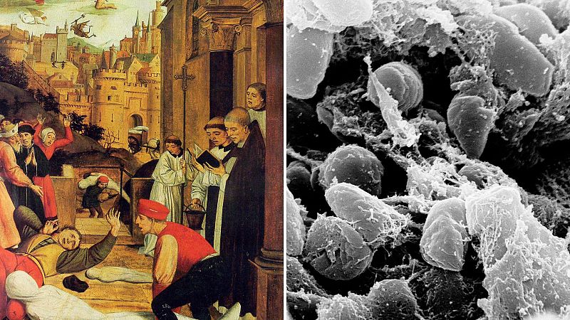 History's first pandemic: Ancient DNA solves mystery of what caused ...