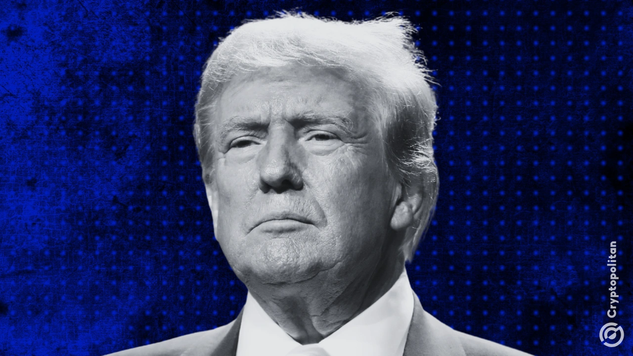 Locals kick against Trump's 'Riviera of the Middle East' tokenized land ...