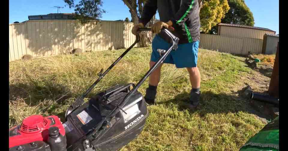 Overgrown Lawn Nightmare: Complete Transformation
