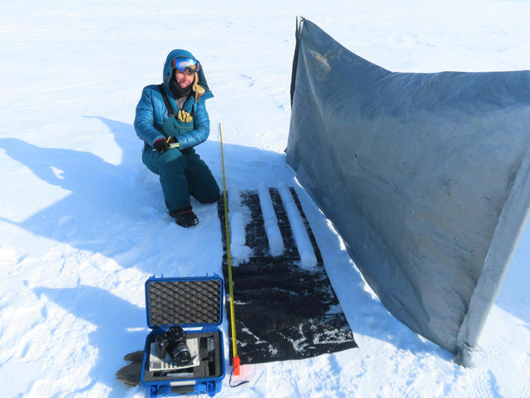 Warming temperatures affect glaciers’ ability to store meltwater ...