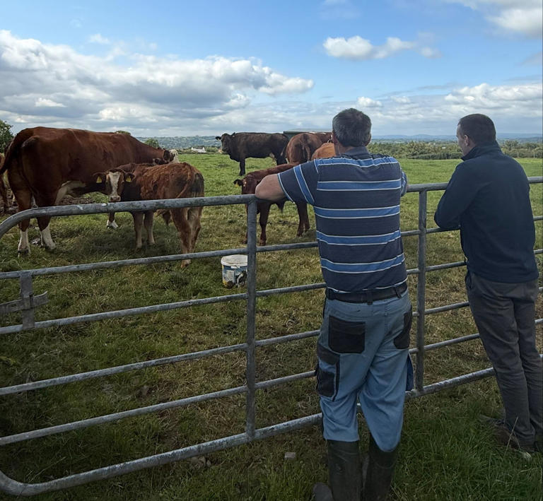 AgriSearch to hold GrassCheck beef farm walk in Eskra