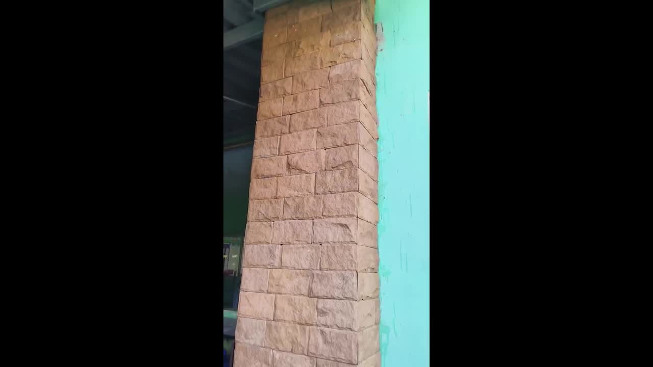 Cat trapped inside pole rescued in Thailand