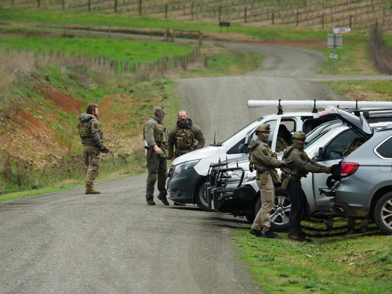 Cop’s remark about wife in shock Dezi update