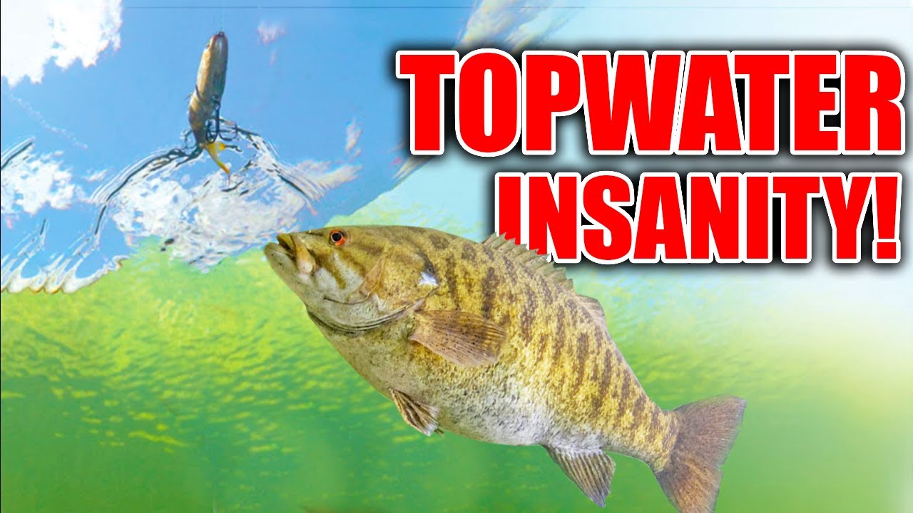 Shattering my personal best in bass fishing