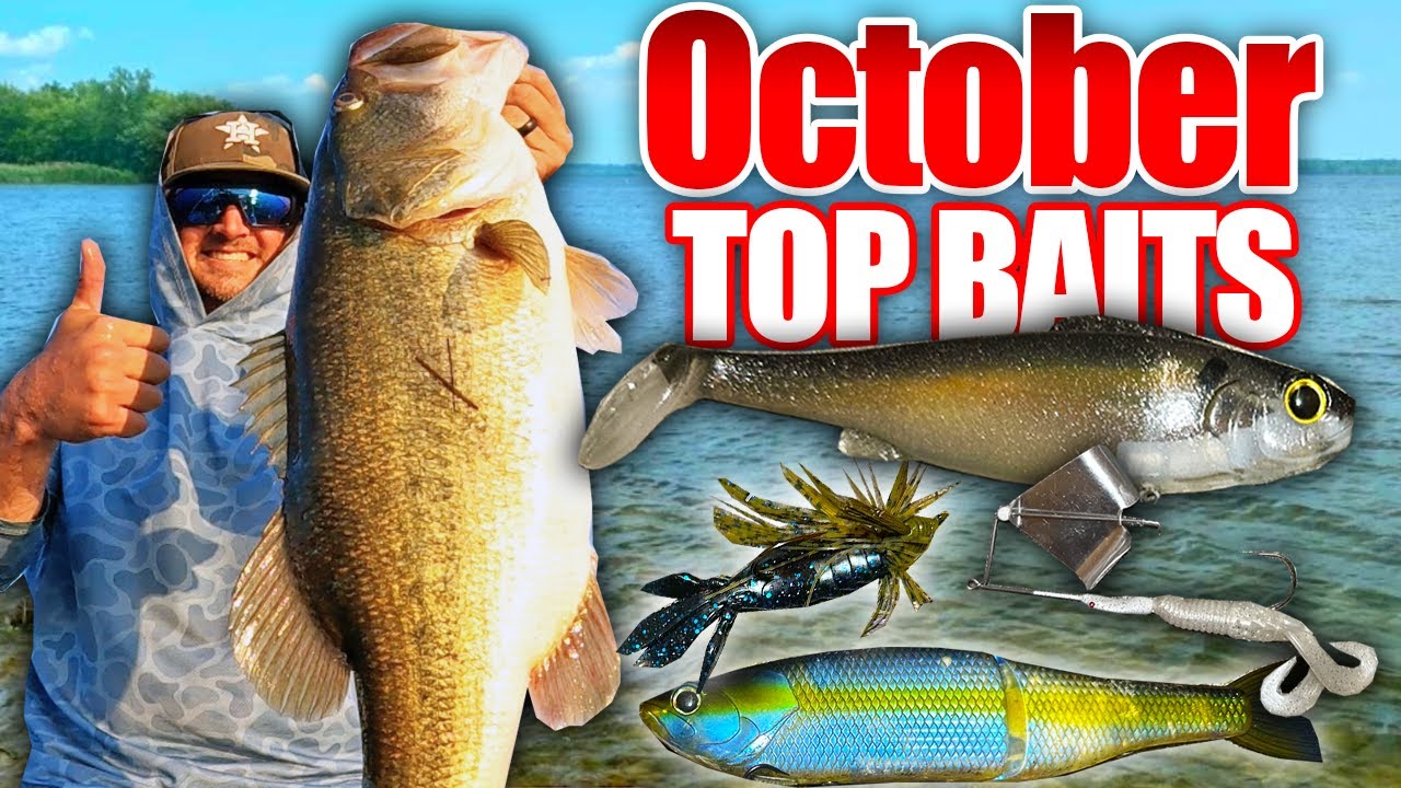 The top 5 October bass fishing bait