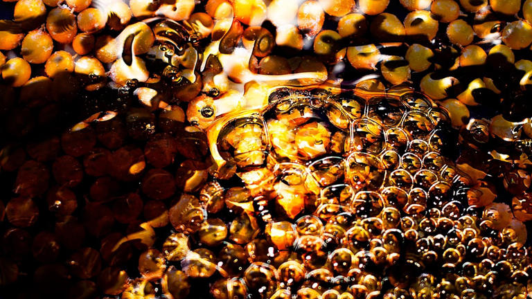 Scientists discover bacteria that produce pure gold