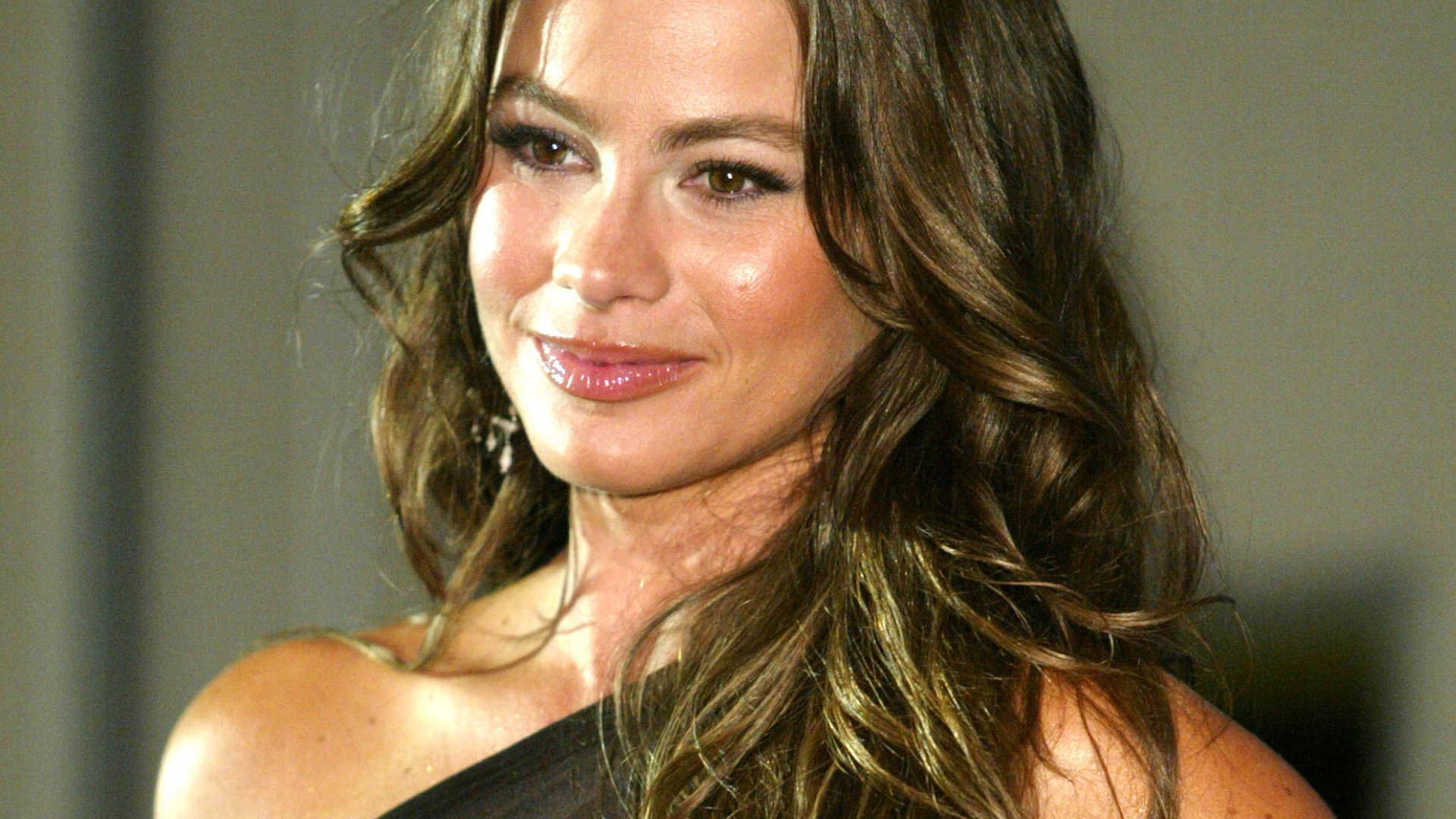 Del anonimato a la fama: el inicio de Sofia Vergara