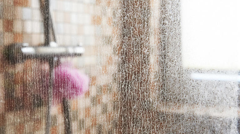 Can You Use Steel Wool To Clean Soap Scum Off Of Shower Doors? Here's ...