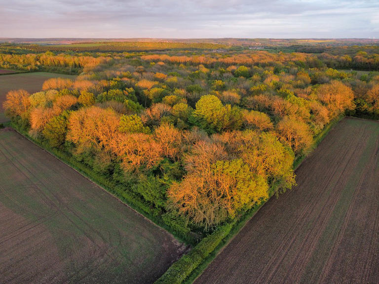 ‘Scenic’ 2.5-mile countryside walk near Derbyshire takes in autumn ...